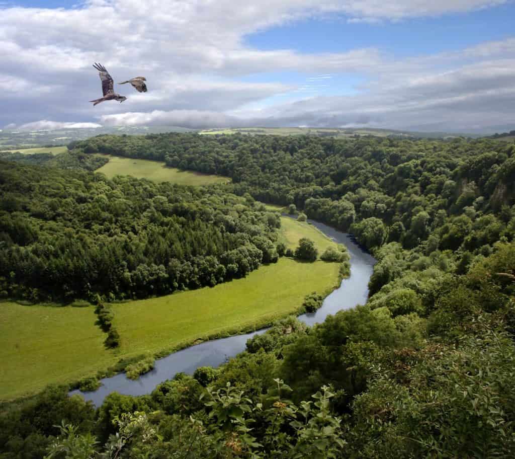 Wye Valley - Angling Stays